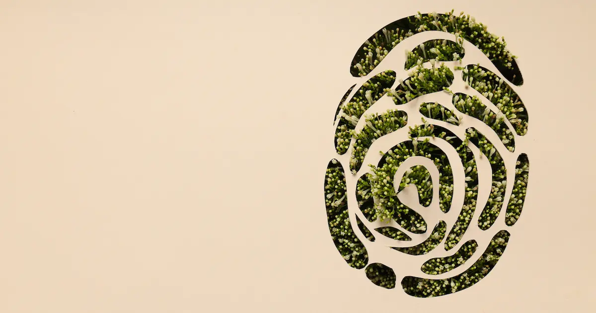 Sustainable Print and how to source | Lil Creative Studio | #designtips